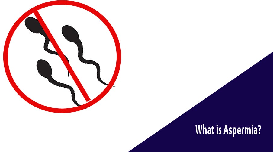 Aspermia, What To Know About It - Fekomi Herbals