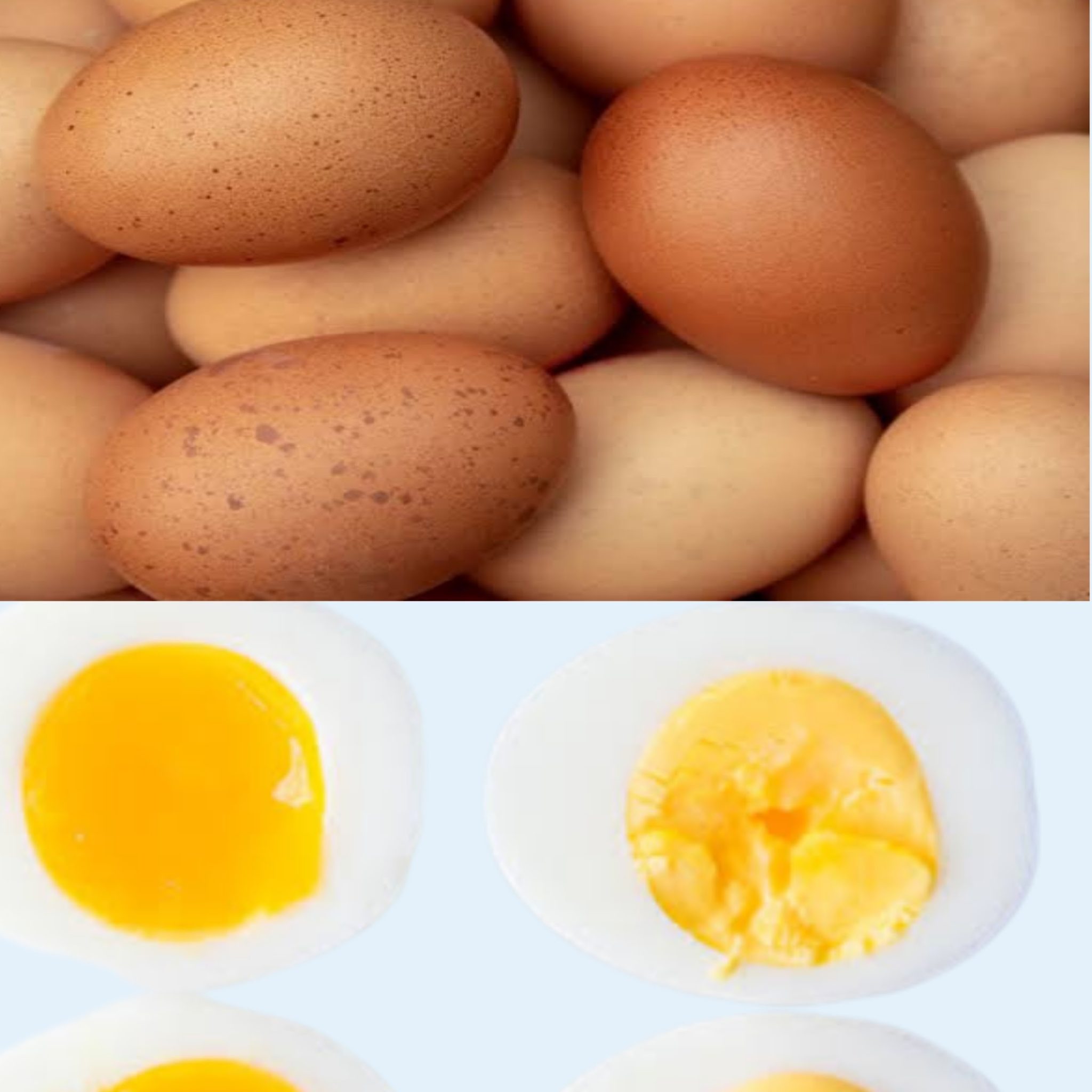 Foods That Can Boost Sperm Quality - Fekomi Herbals