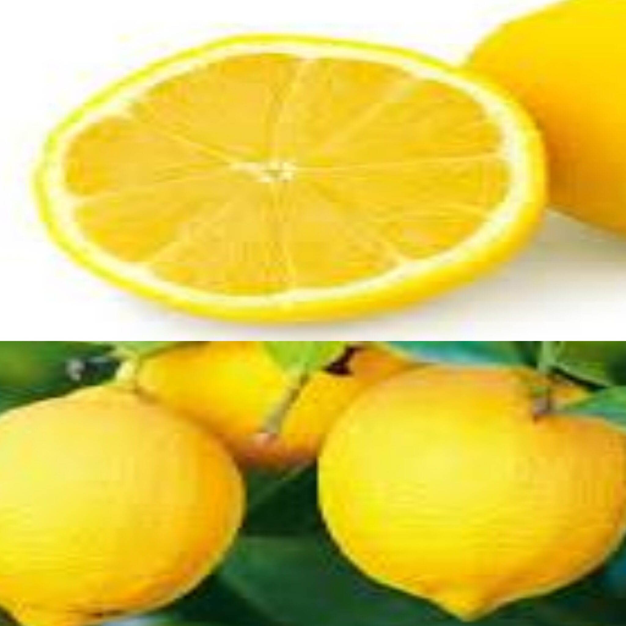 Detox Fruits - Fekomi Herbals