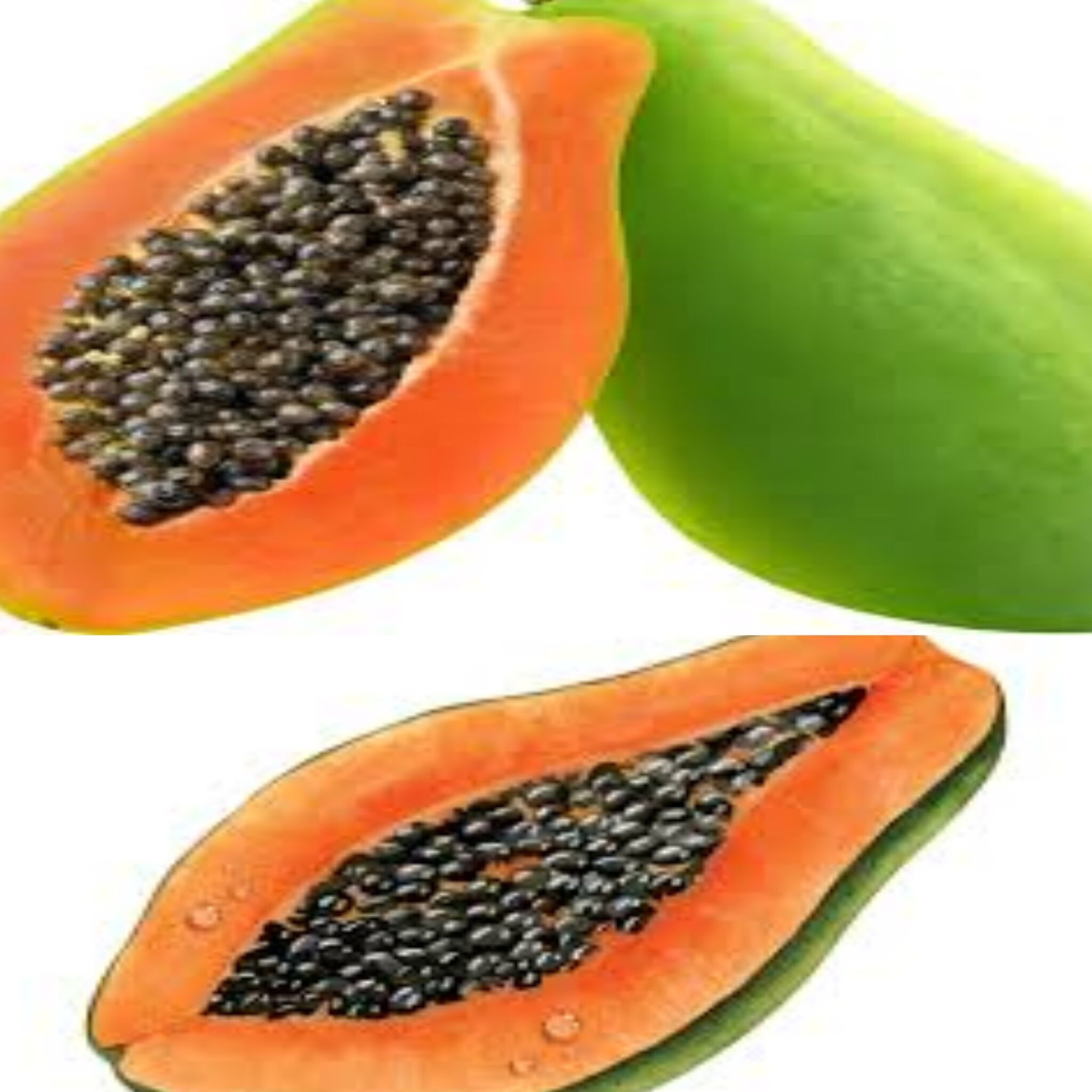 Detox Fruits - Fekomi Herbals